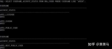 OracleAPEX安装 知乎