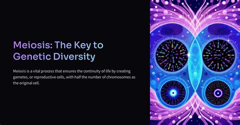 Meiosis The Key To Genetic Diversity