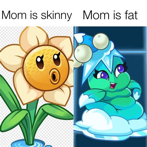 Mom Is Skinny Mom Is Fat Jackmcp611 Memes