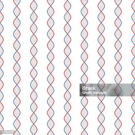 Dna 이중 나선 간단한 양식된 원활한 패턴 파란색 빨간색과 흰색 벡터 0명에 대한 스톡 벡터 아트 및 기타 이미지 0명
