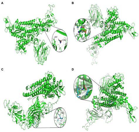Frontiers Drug Repositioning For Sars Cov 2 By Gaussian Kernel