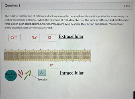 Solved The Relative Distribution Of Cations And Anions