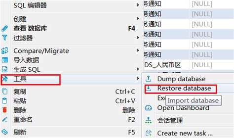 docker 安装的mysql迁移数据库 docker mysql导入数据库 csdn博客