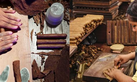 maduro wrapper vs natural wrapper key differences explained