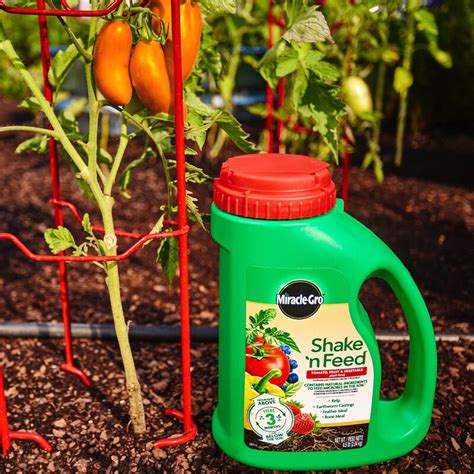 Miracle Gro Shake N Feed Tomato Fruit And Vegetable Plant Food