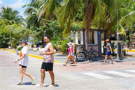 La Jornada Maya Quintana Roo La Jornada Maya Solidaridad Ofrece