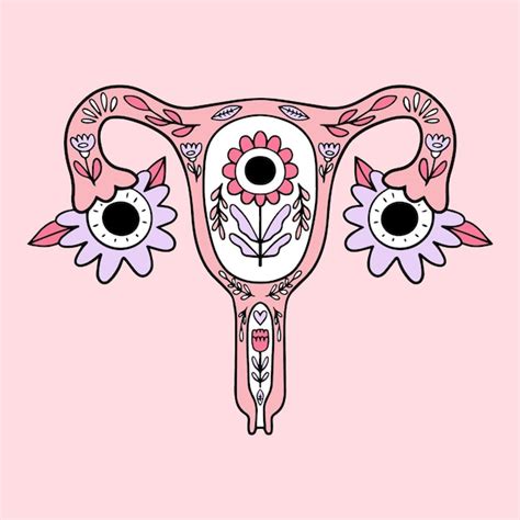 Images De Vulve Dessin Téléchargement Gratuit Sur Freepik