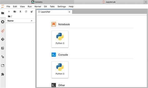 Start A Jupyter Notebook Datalabs Documentation