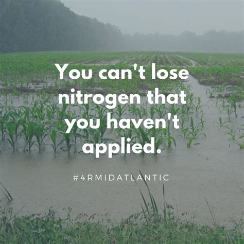 Split Nitrogen Applications Mid Atlantic 4r Nutrient Stewardship Association