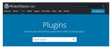 Magento Vs Woocommerce Which One Is Better Find Out Here