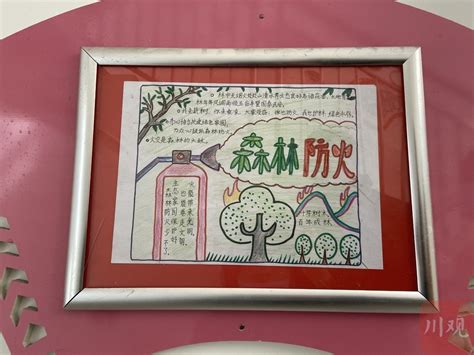 开学第一课森林草原防灭火主题教育活动启动仪式在康定举行四川在线