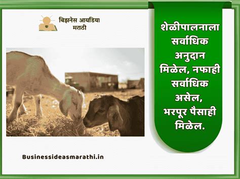 शेळीपालनाला सर्वाधिक अनुदान मिळेल नफाही सर्वाधिक असेल भरपूर पैसाही मिळेल