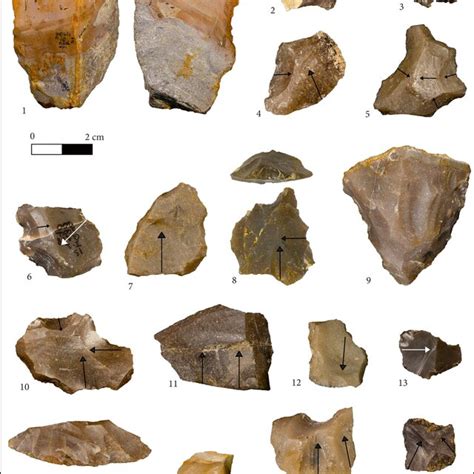 Flint Cores From Analysed Squares From Layer T 3coll 1 Bifacial Core