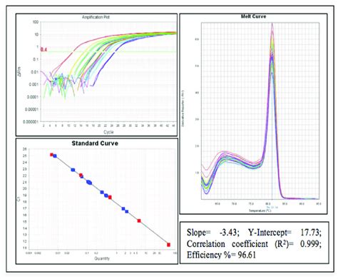 A Rt Qpcr Amplification Plot And Standard Curve Data For Atpd Gene