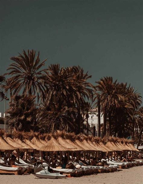 Playa Soleil Haz Tu Reserva2025 Sandbeds