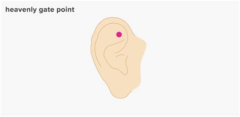 Acupuncture Points For Fertility Chart Minga