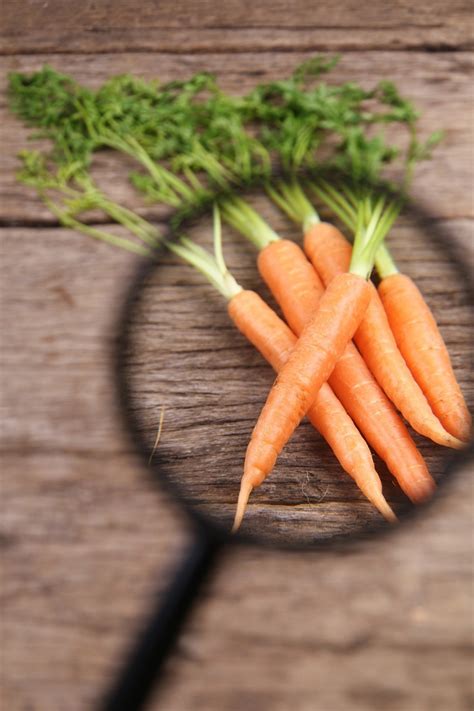 Smart Sensing How Nanosensors Are Transforming Food Safety And Traceability