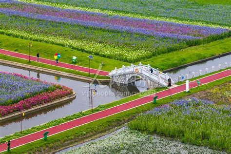 浙江宁波未来乡村百花开 人民图片网