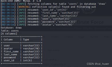 Dvwa之暴力破解二（手动注入和使用sqlmap）尝试在数据库 Dvwa 中 D Dvwa执行查询语句 Select From