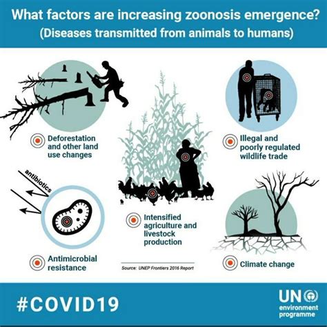 What Are Zoonotic Diseases And How Dangerous Are They