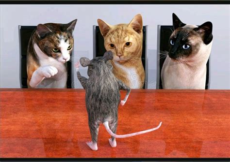 Garima Srivastava On Linkedin Sales Career Work