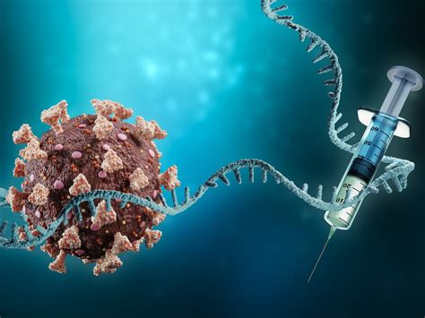 Best Practices For Analysis Of Ivt Mrna Using The Agilent Fragment Analyzer Systems