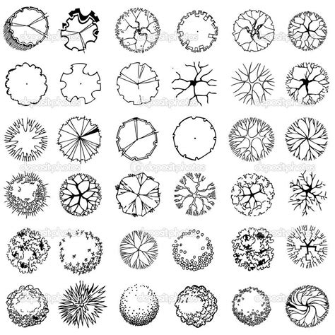 Trees From Above Träd Illustration Trädgårdsritning Arkitektur Skiss