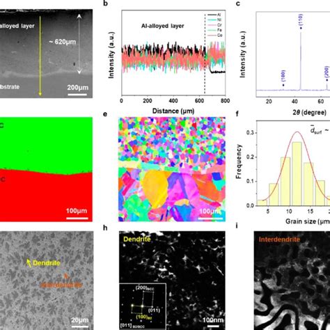 A Cross Sectional View Of The Surface Layer And Substrate B Download Scientific Diagram