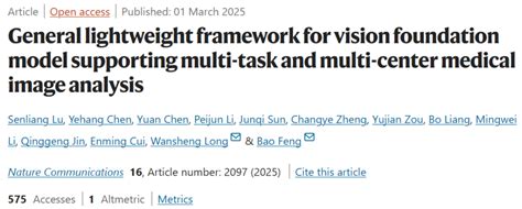 多中心医学图像分析模型，vfmgl框架破解数据孤岛难题，93 4 Dice系数的卓越表现 一起ai技术