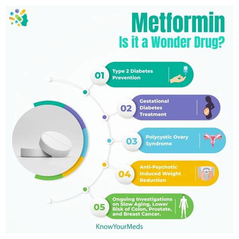 Metformin And Weight Loss What You Should Know Artofit