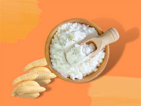 Tepung Pati Garut Si Ramah Di Perut Inilah 5 Khasiatnya