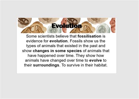 Fossils Teaching Resources