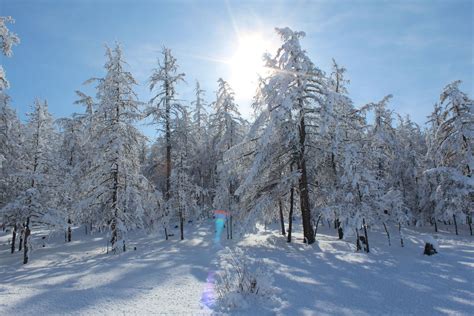 Ойн үндэсний чуулган болно Wwf
