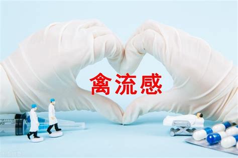 新加坡对美国禽流感疫情影响地区的禽类产品实施临时进口限制 新加坡新闻