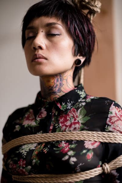 Shibari Tumbex