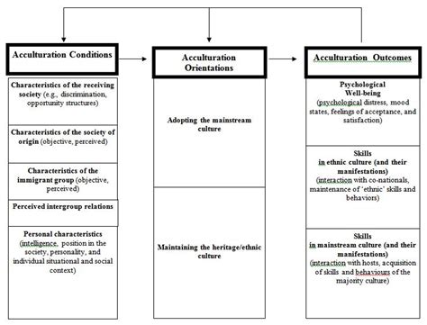Acculturation Examples
