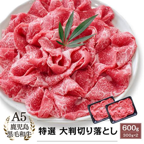 【送料無料】a5等級 鹿児島県産黒毛和牛 特選 大判切り落とし 600g300g×2｜カミチク ファーマーズマーケット｜上質な和牛を鹿児島から