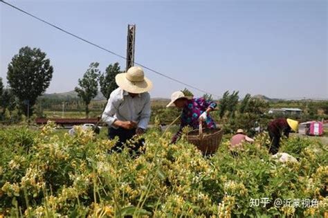 【乡村振兴巾帼行动】山东平邑郑城：沂蒙行志愿服务直通车走进四合村 知乎