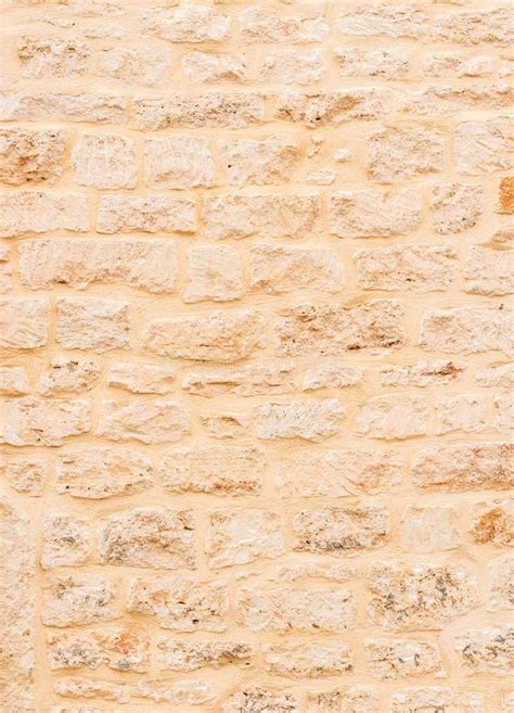Texture En Bois Brun Clair De Fond De Planches Photo Stock Image Du