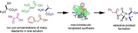 Dna‐templated Organic Synthesis Natures Strategy For Controlling