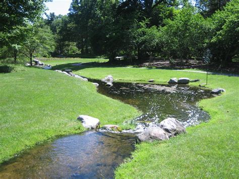 Small Stream In Lush Green Park