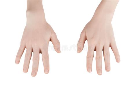 Skinny Hands Photos Free Royalty Free Stock Photos From Dreamstime