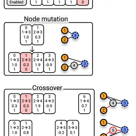 The Genome Of A Neural Network Contains Node And Connection Genes A