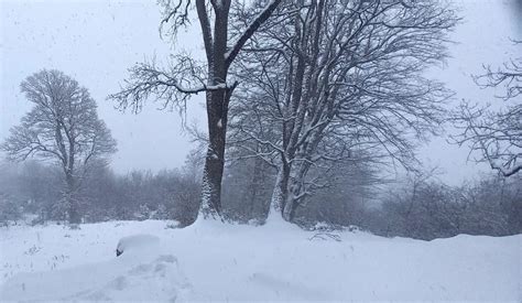 طبیعت زمستانی روستای سیف کلایه در یک نگاه تصاویر