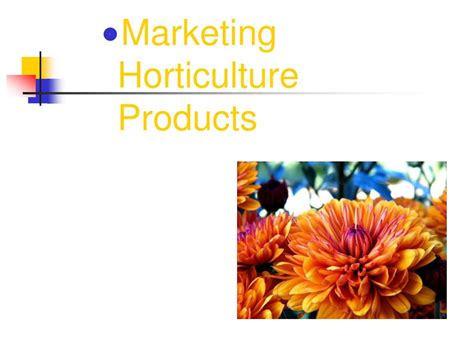 Ppt Marketing Horticulture Products Powerpoint Presentation Free