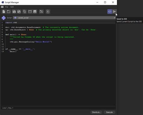 Visual Studio Code Integration Manual Cinema D Sdk