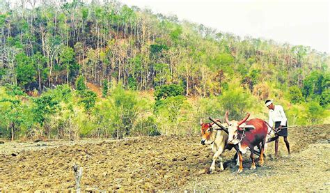 Telangana 8 Lakh Acres Of Podu Land Earmarked For Allotment