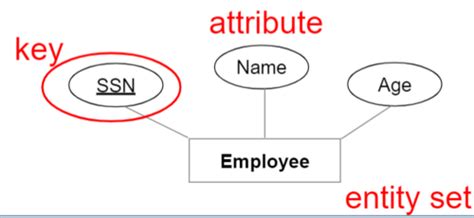 Er Modelling Flashcards Quizlet