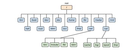 Cs Tree