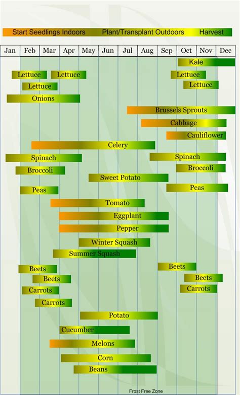 Printable Zone 8 Planting Guide